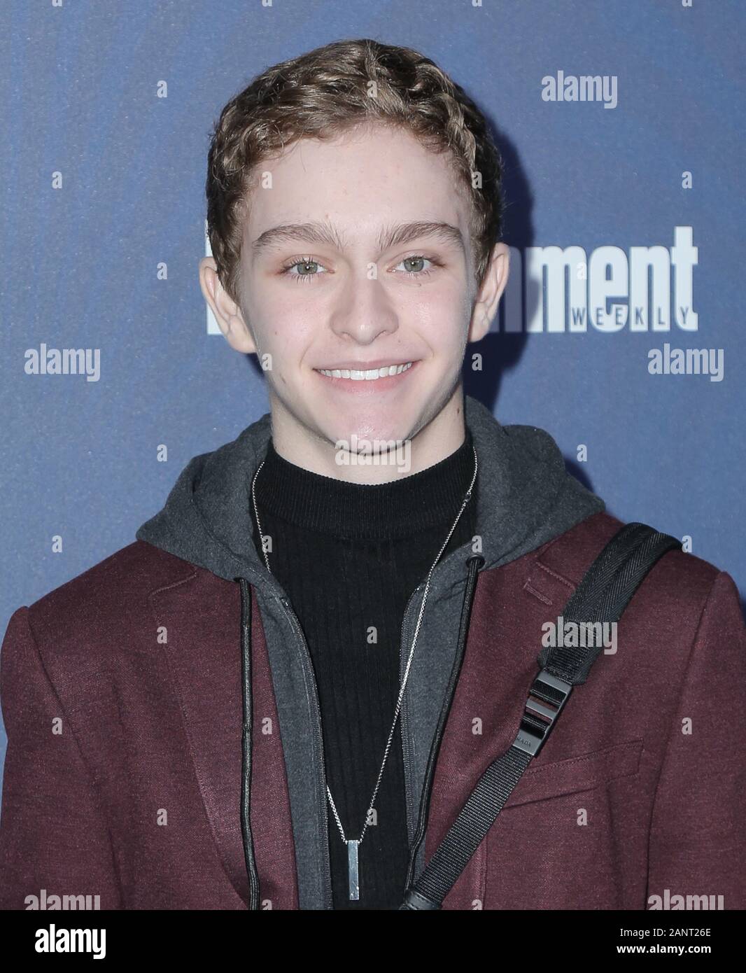 Hollywood, USA. 18th Jan, 2020. Gavin Lewis walking the red carpet at ...