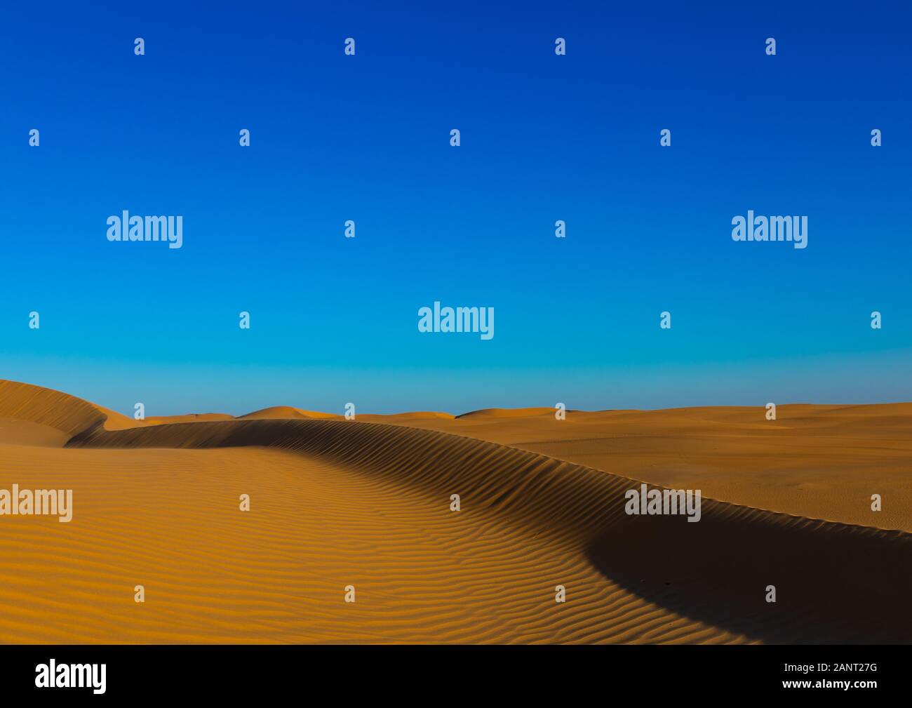 Sand dunes in the Rub' al Khali empty quarter desert, Najran province ...