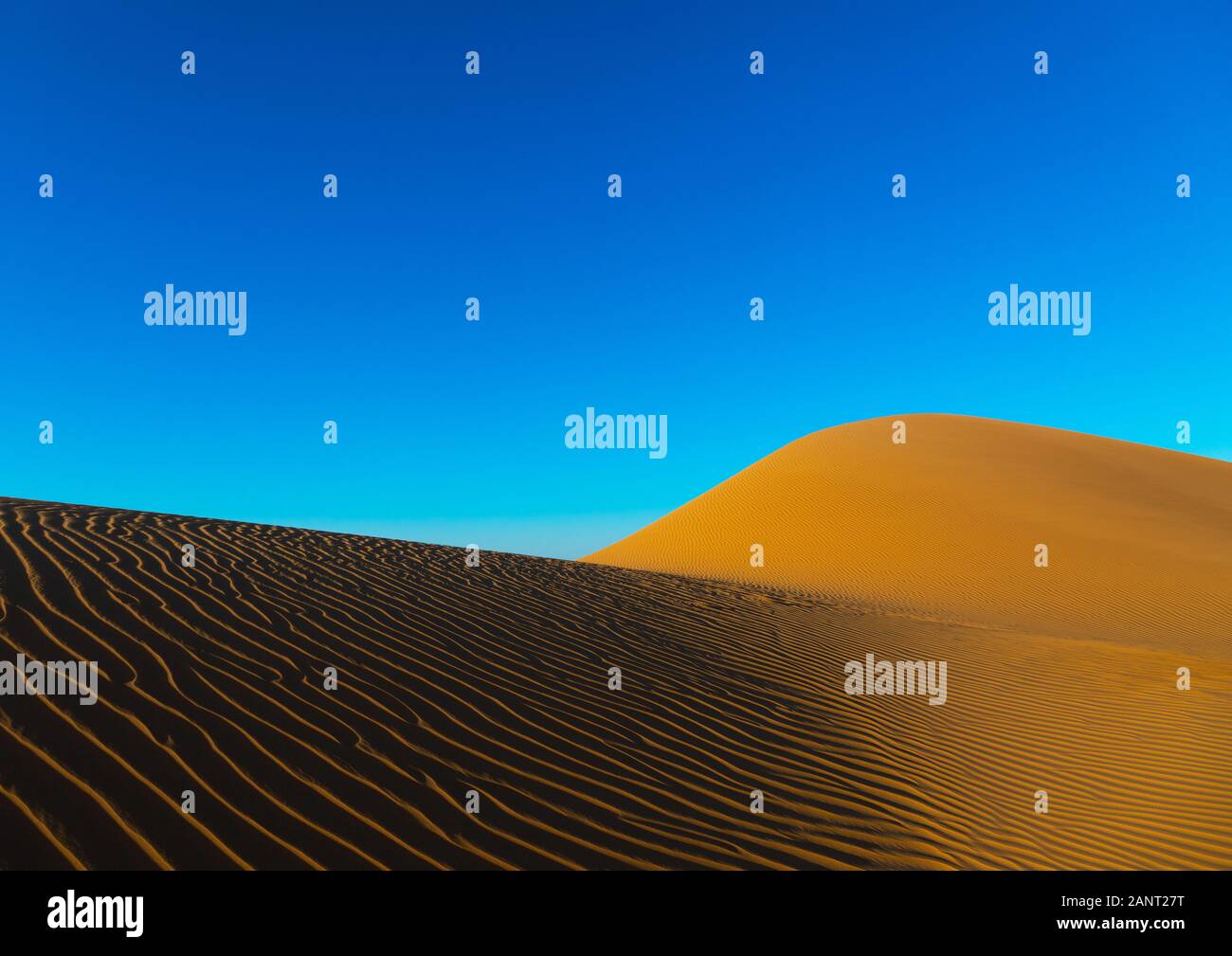 Sand dunes in the Rub' al Khali empty quarter desert, Najran province ...