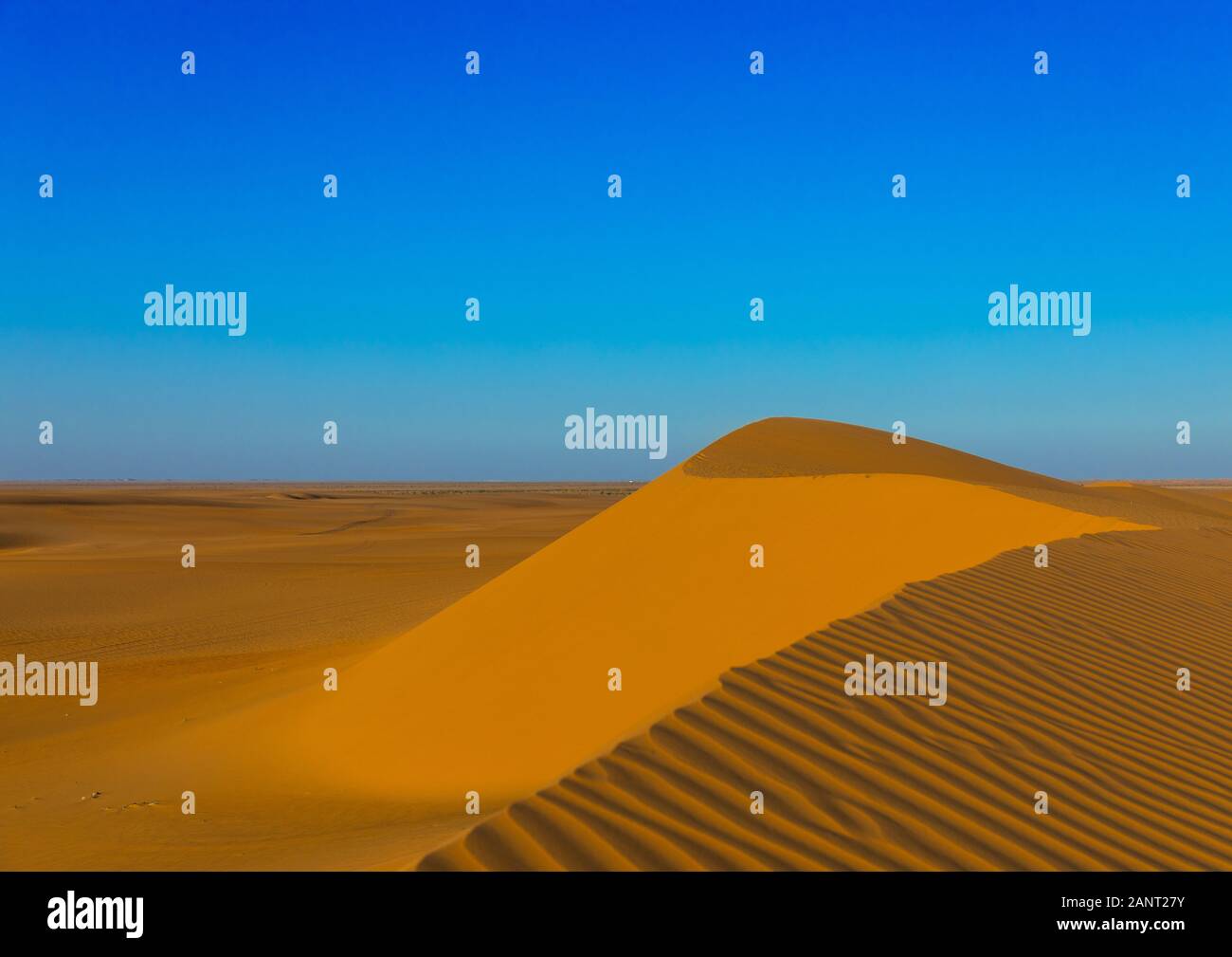 Sand dunes in the Rub' al Khali empty quarter desert, Najran province ...
