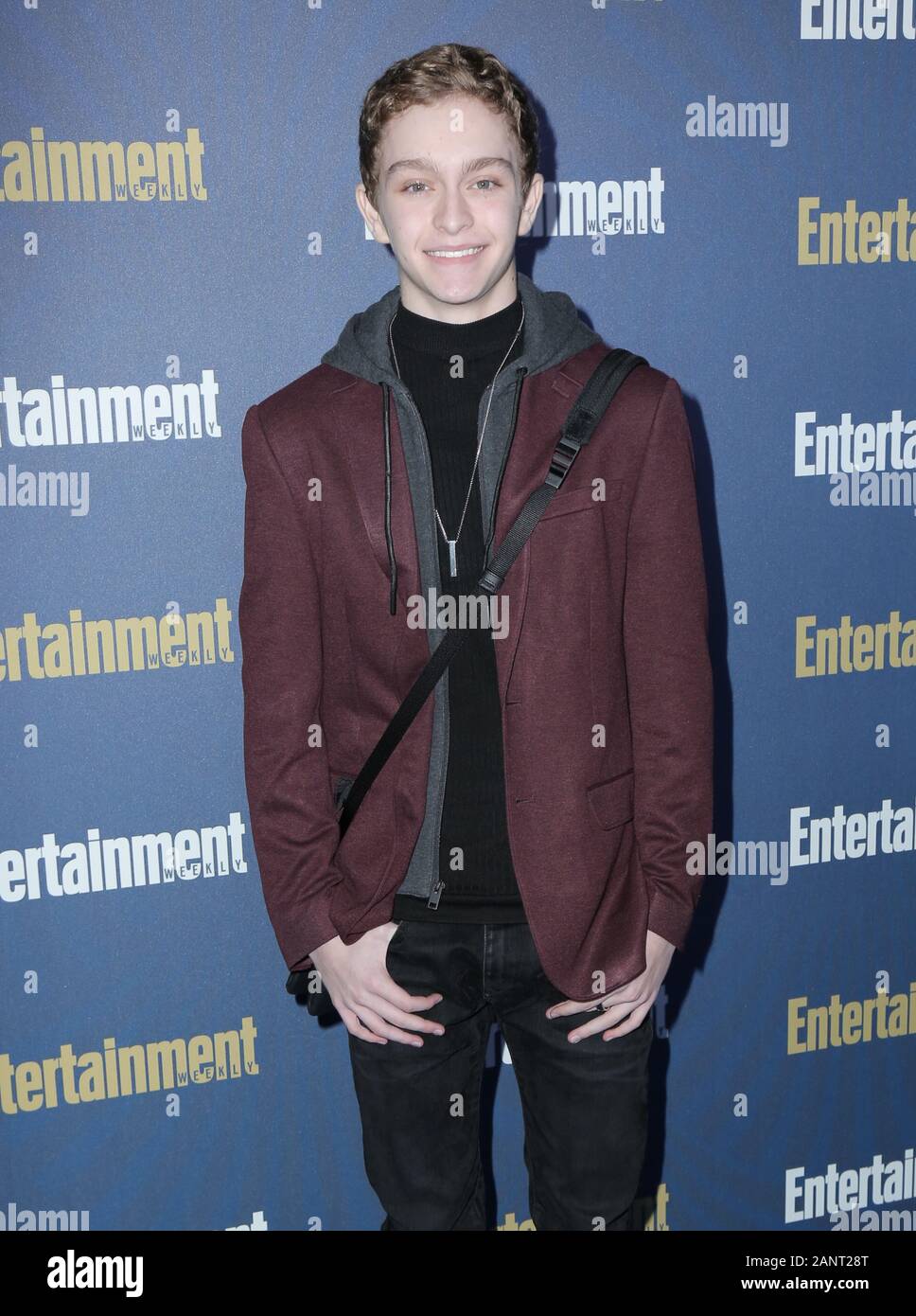 Hollywood, USA. 18th Jan, 2020. Gavin Lewis walking the red carpet at ...