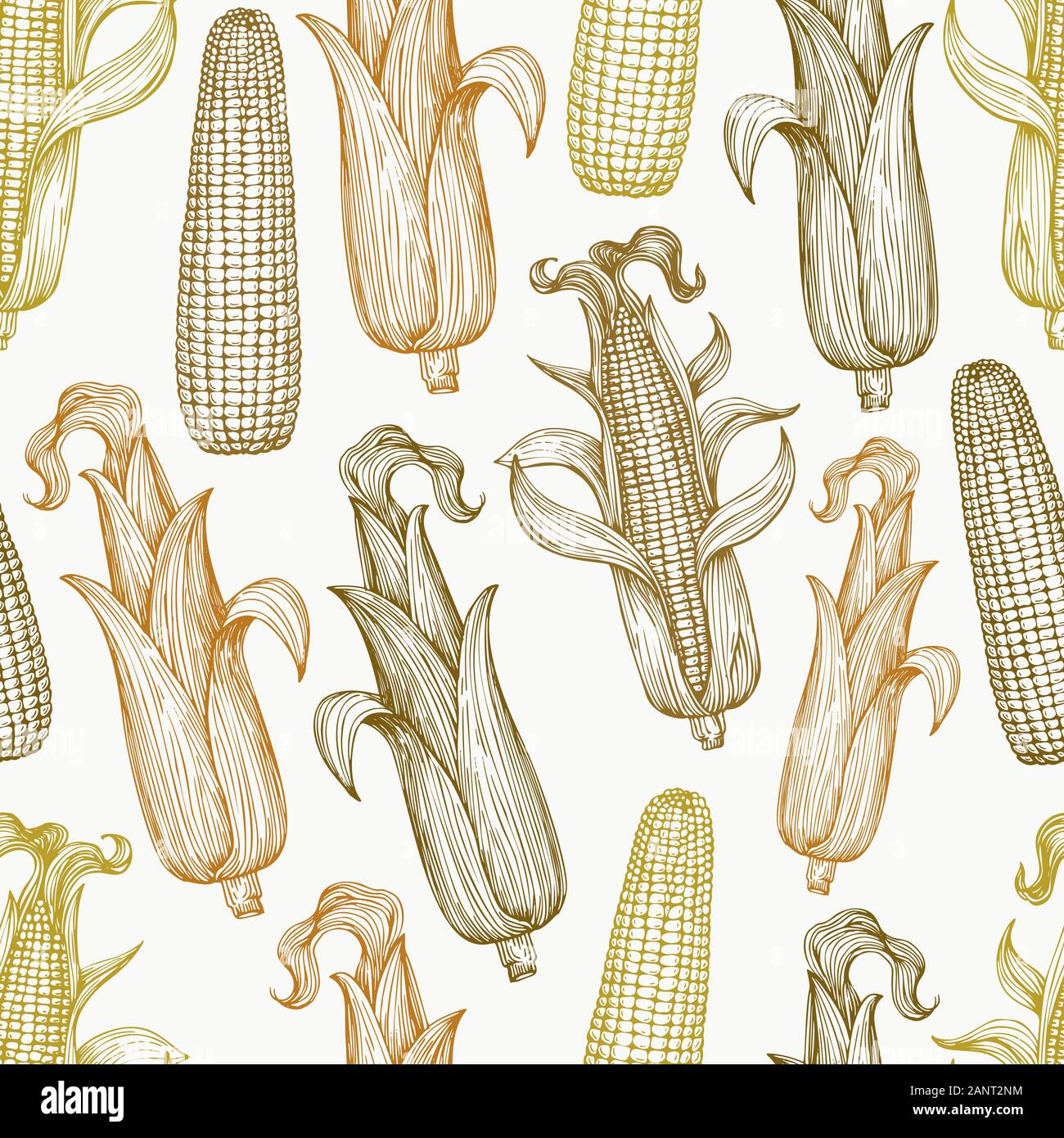Vector seamless pattern with corn on the cob with leaves. Retro ...