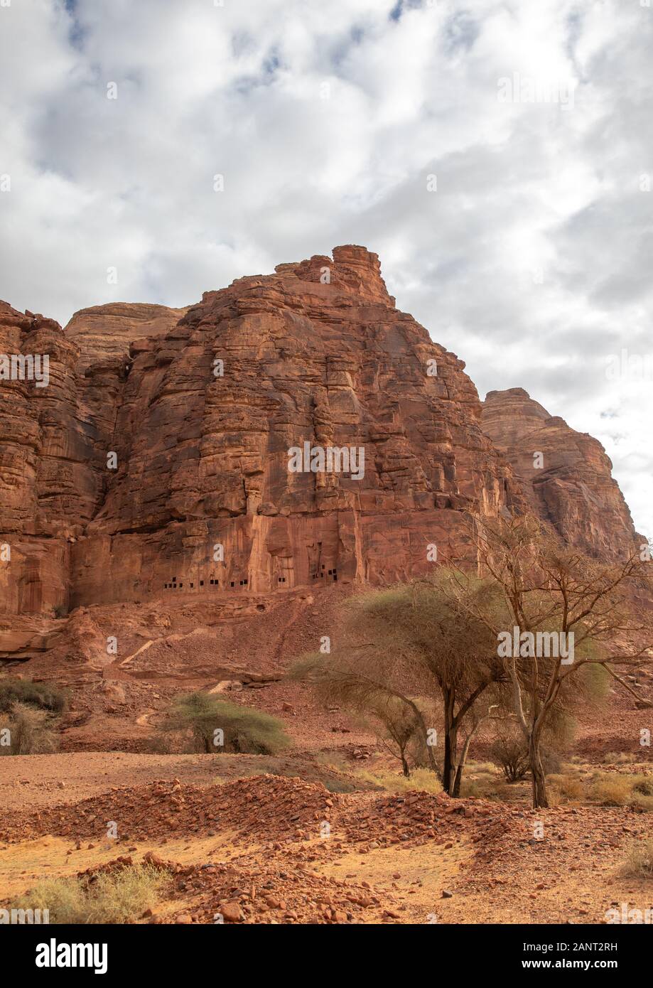 Dedan hi-res stock photography and images - Alamy