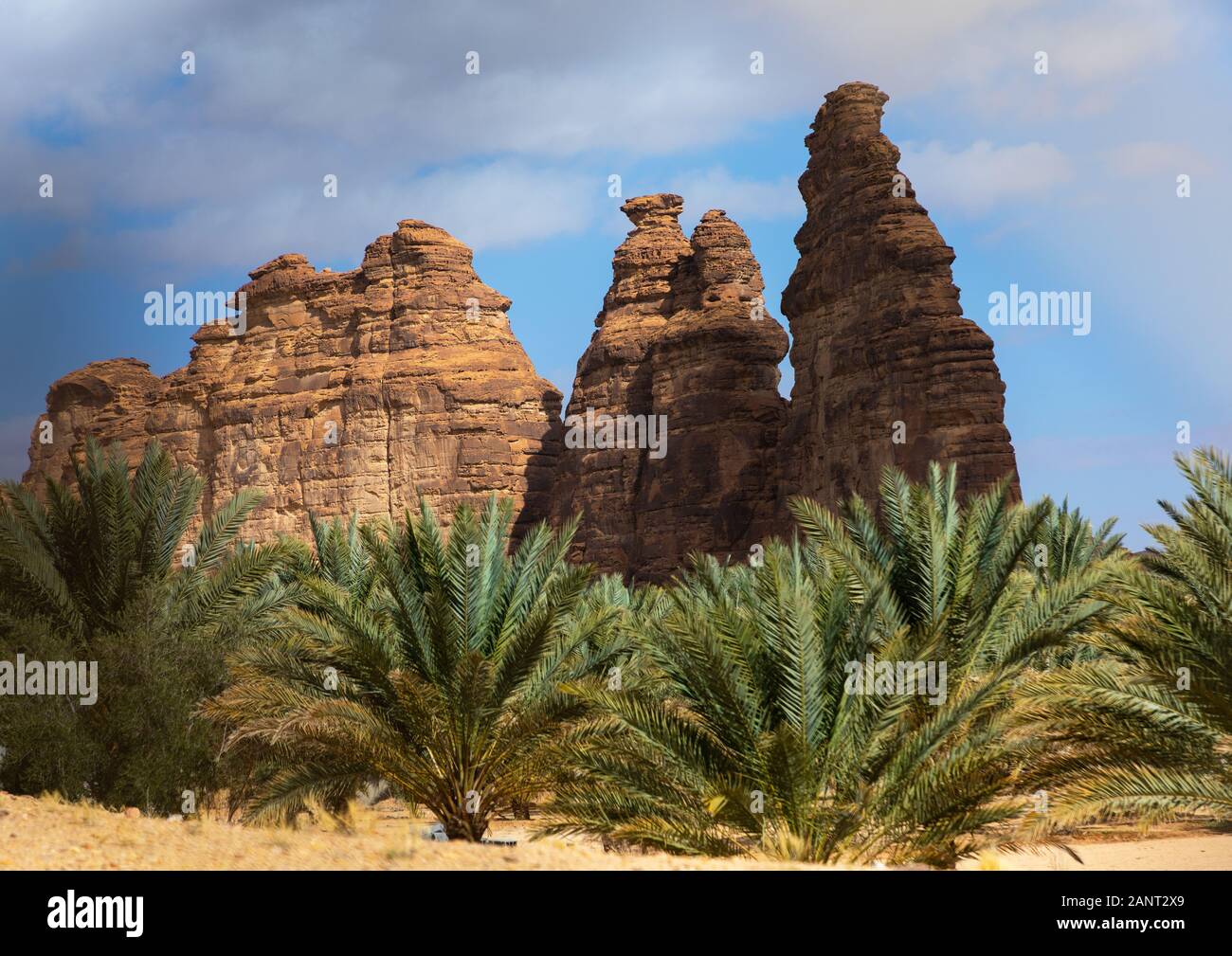 Palm oasis saudi hi-res stock photography and images - Alamy