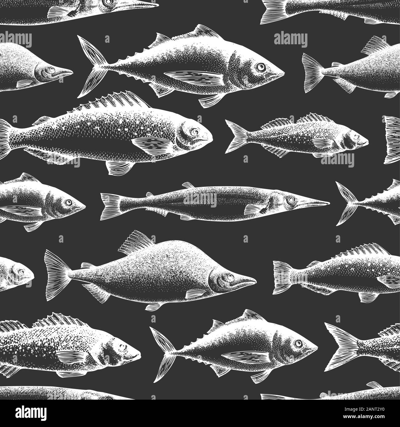 Fish seamless pattern. Hand drawn vector fishes illustration on chalk ...