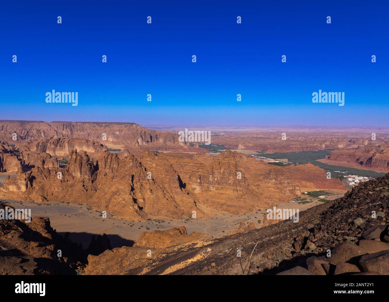 Oasis in the middle of the wadi al-Qura, Al Madinah Province, Alula ...
