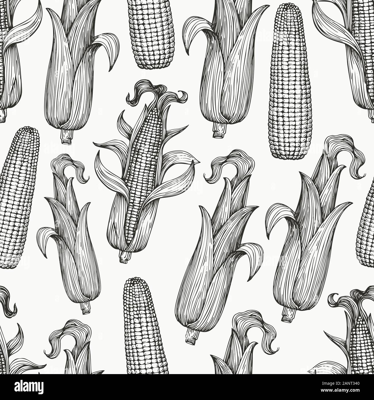 Vector seamless pattern with corn on the cob with leaves. Retro ...