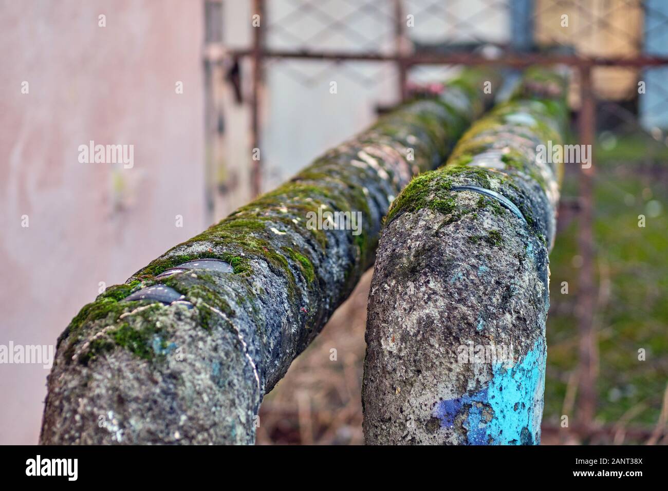 Old pipes with rust and mold. Close up Stock Photo - Alamy