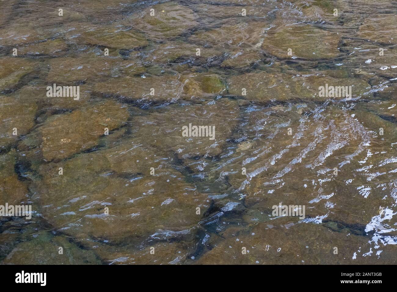 Water and stone with natural light in the river Stock Photo - Alamy