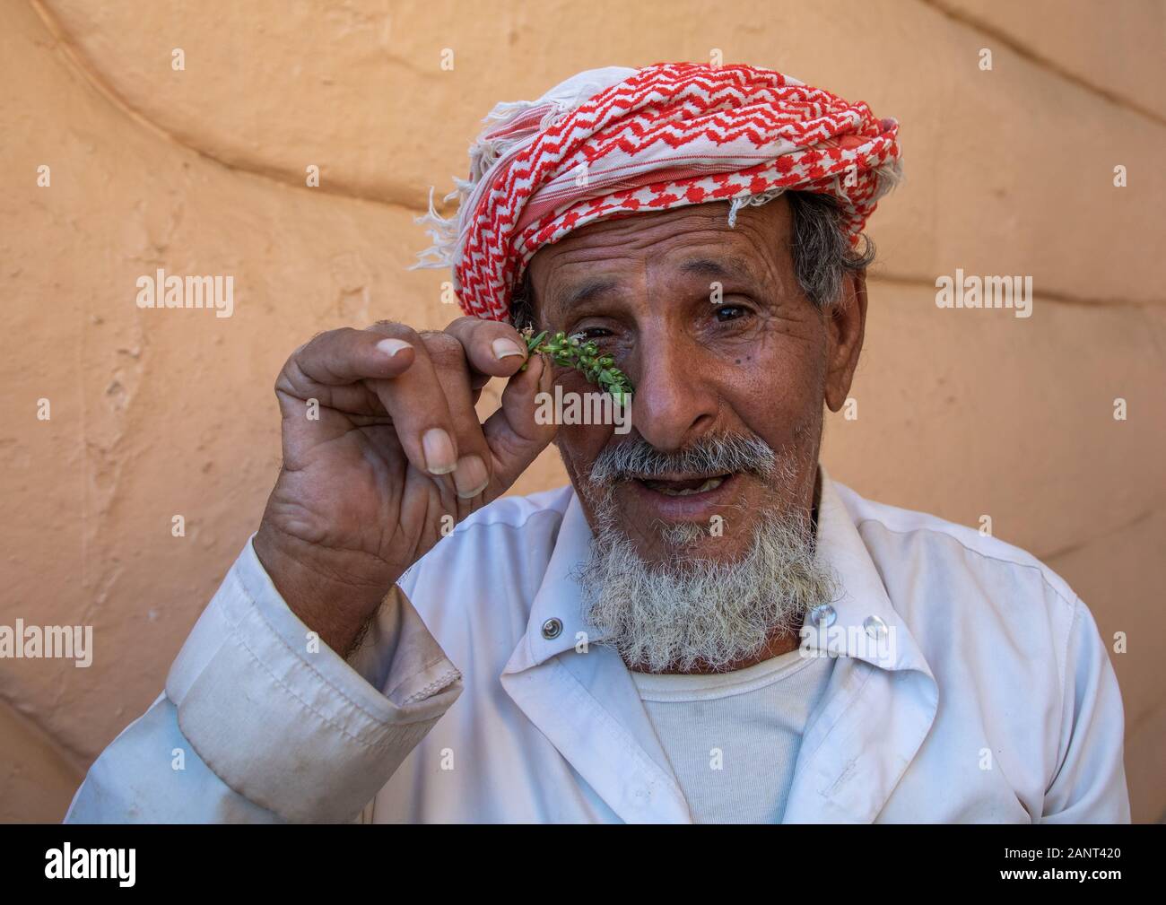 Portrait of a saudi man puting basil on his eyes as a medicine, Najran ...