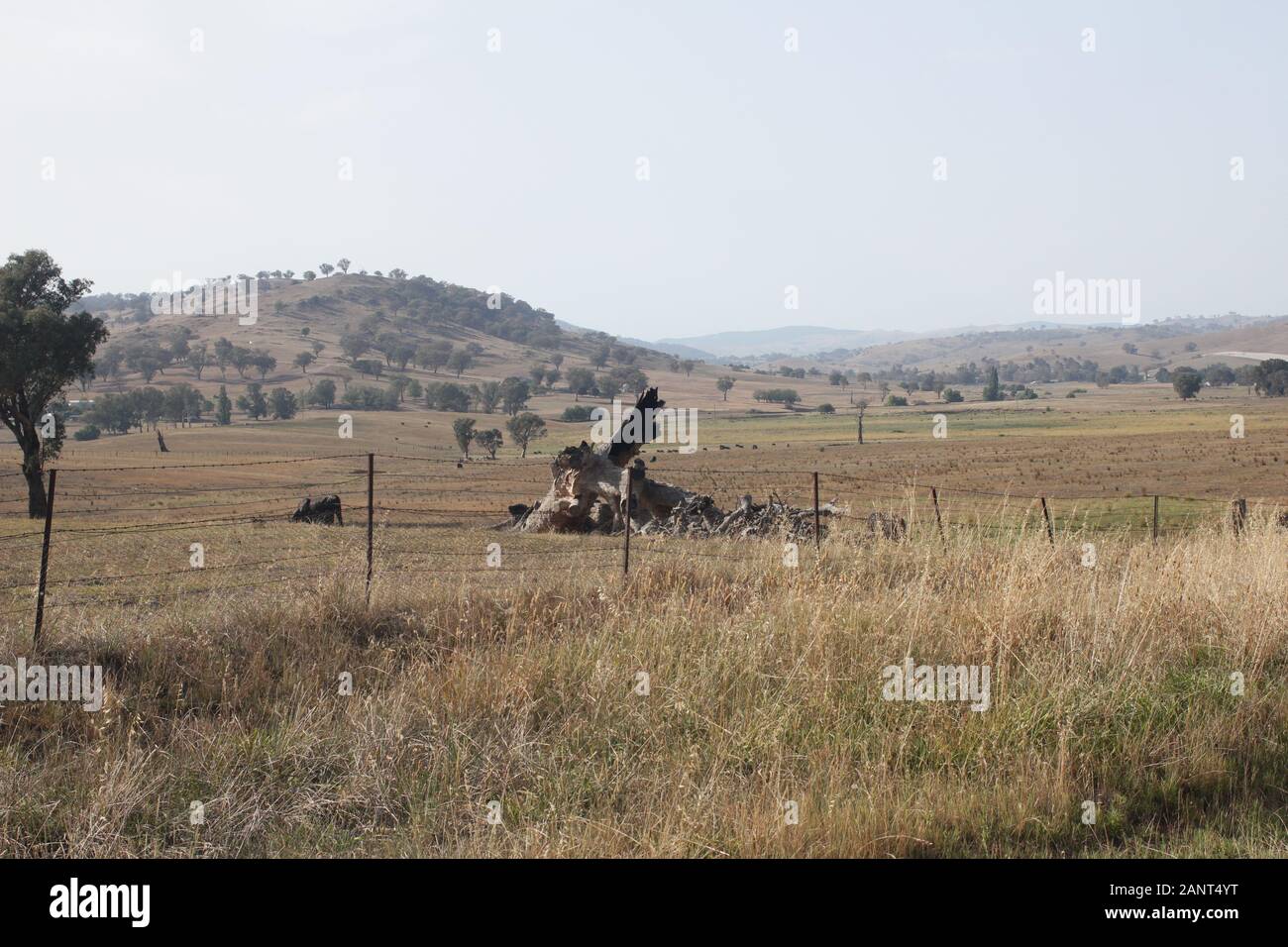 Adelong, New South Wales, Australia Stock Photo - Alamy