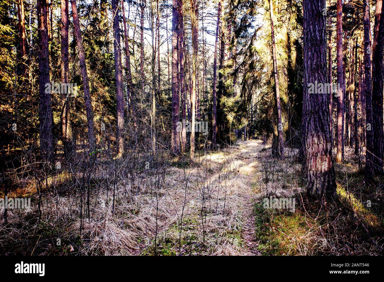 Dry european hi-res stock photography and images - Alamy