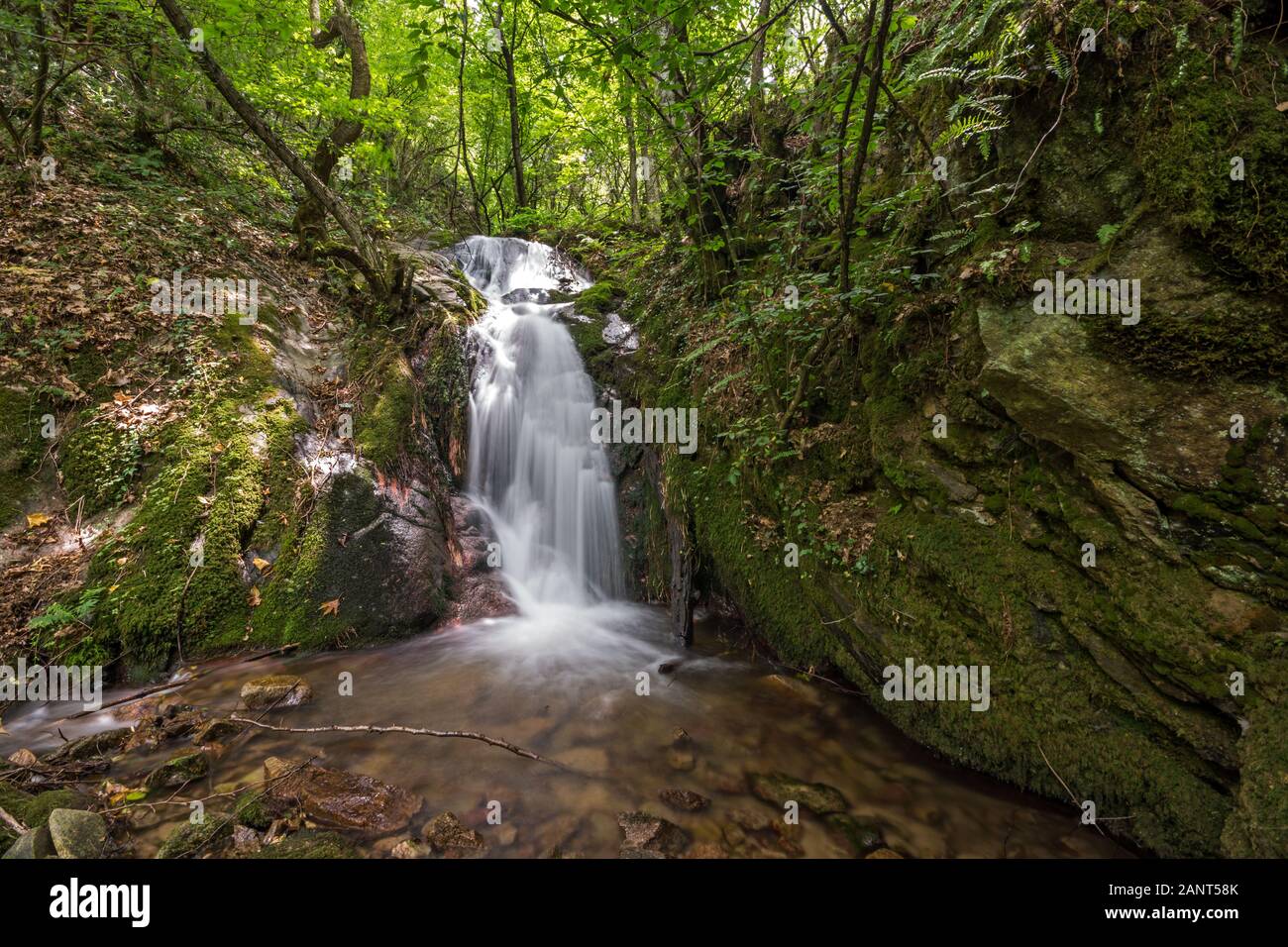Novo selo hi-res stock photography and images - Alamy