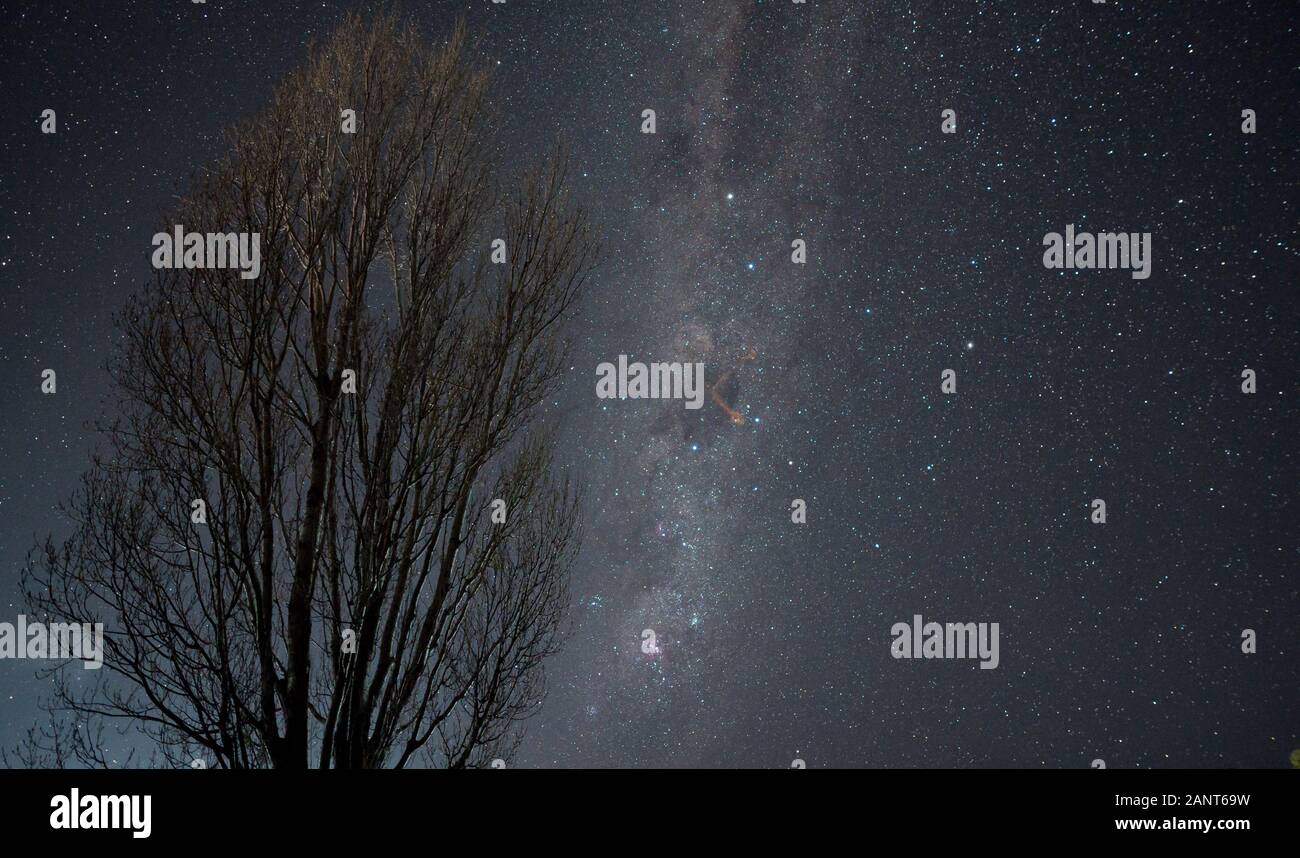 Milky way arcing over a leafless tree with a fireball meteor trail ...
