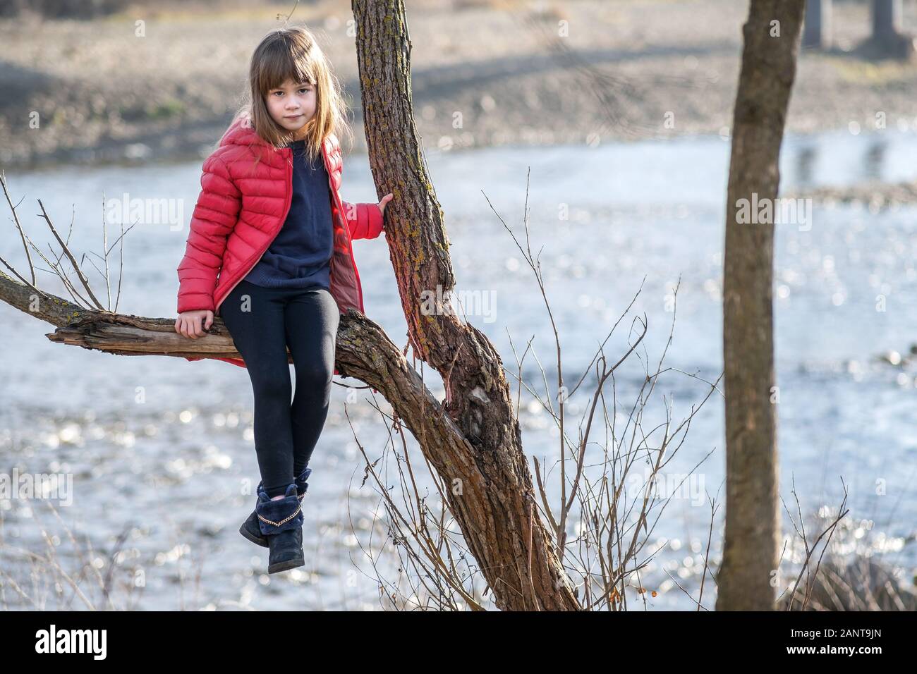 Portrait of a pretty child girl sitting on a tree branch in autumn ...