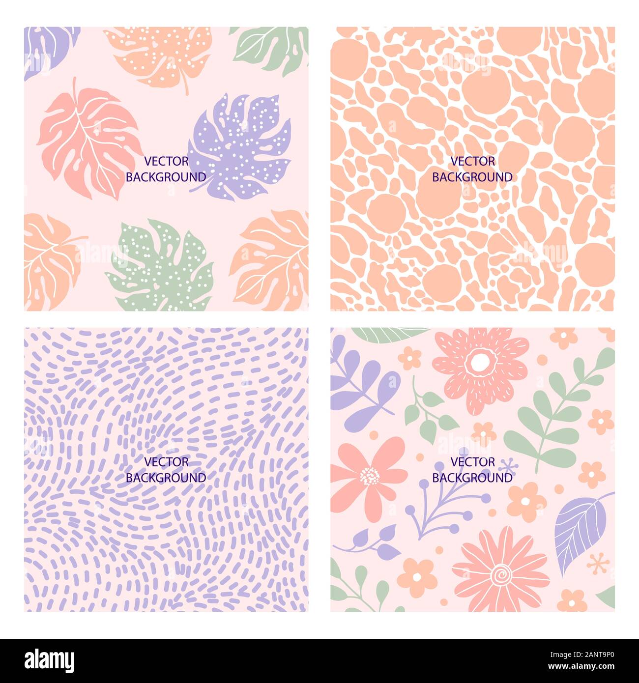 templates for social media Stock Vector Image & Art - Alamy