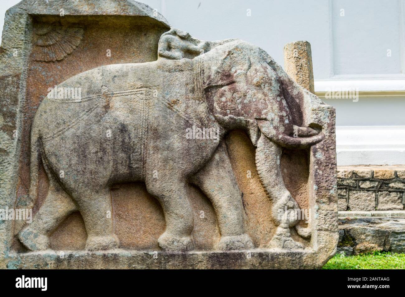 Bas-Relief With The Figure Of An Elephant at Sri Dalada Maligawa or the ...