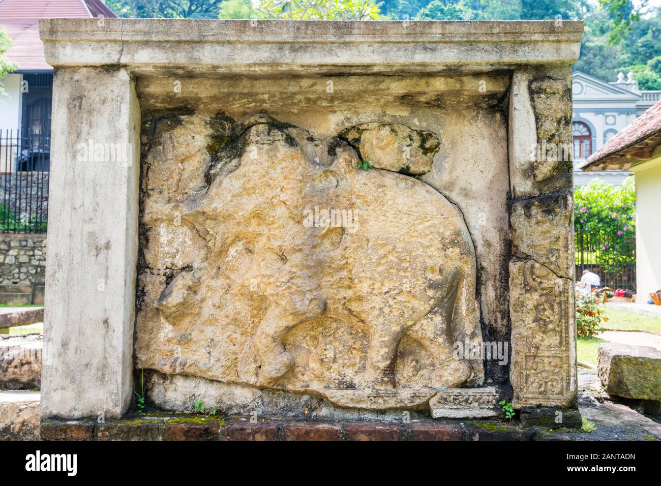 Bas-Relief With The Figure Of An Elephant at Sri Dalada Maligawa or the ...