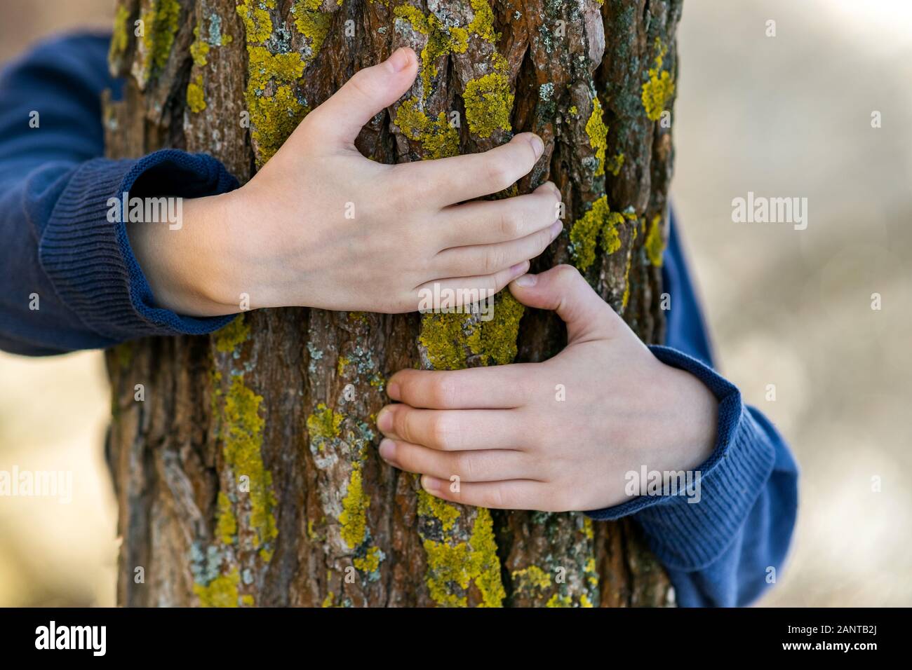 Holding hands around a tree hi-res stock photography and images - Alamy