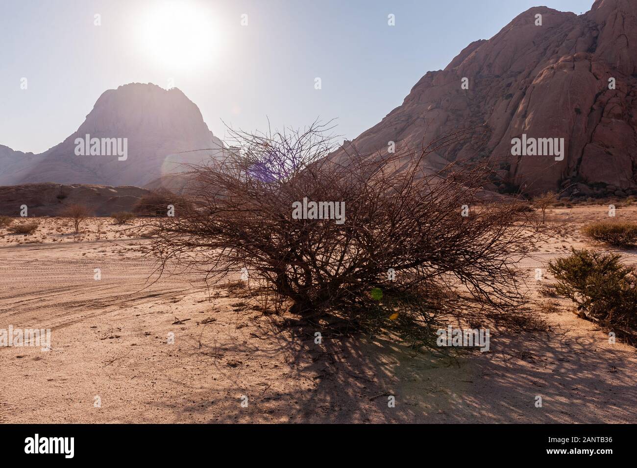 Late Afternoon near Spitzkoppe, and Old Volcano in the Namibian Desert ...