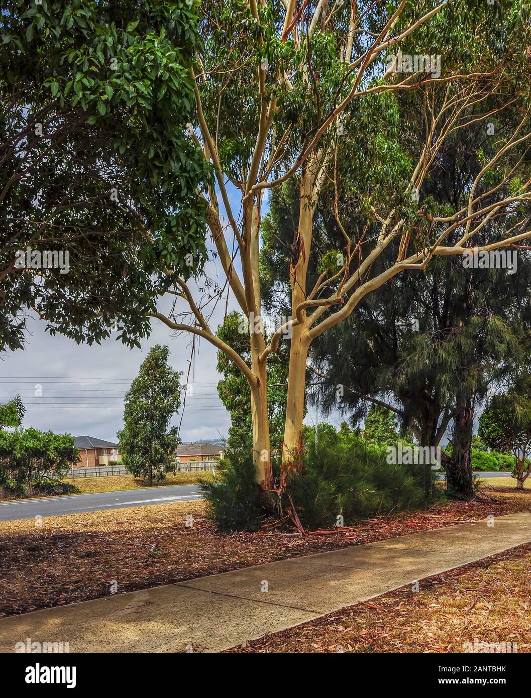 Hallam. Victoria. Australia. 24.01.2014.The Princes Highway is a major ...