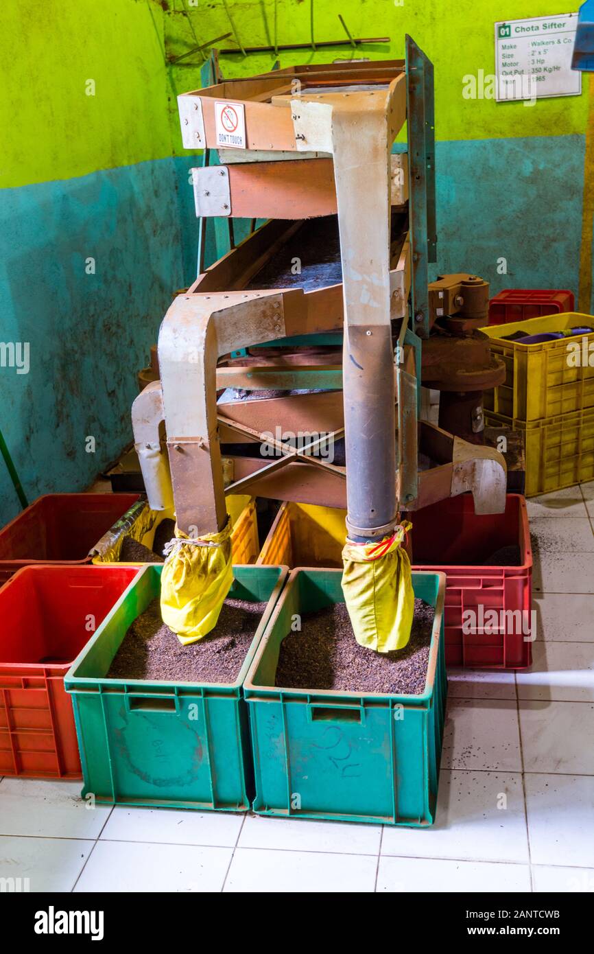 Production line of making black tea in a Sri Lankan tea factory Stock ...
