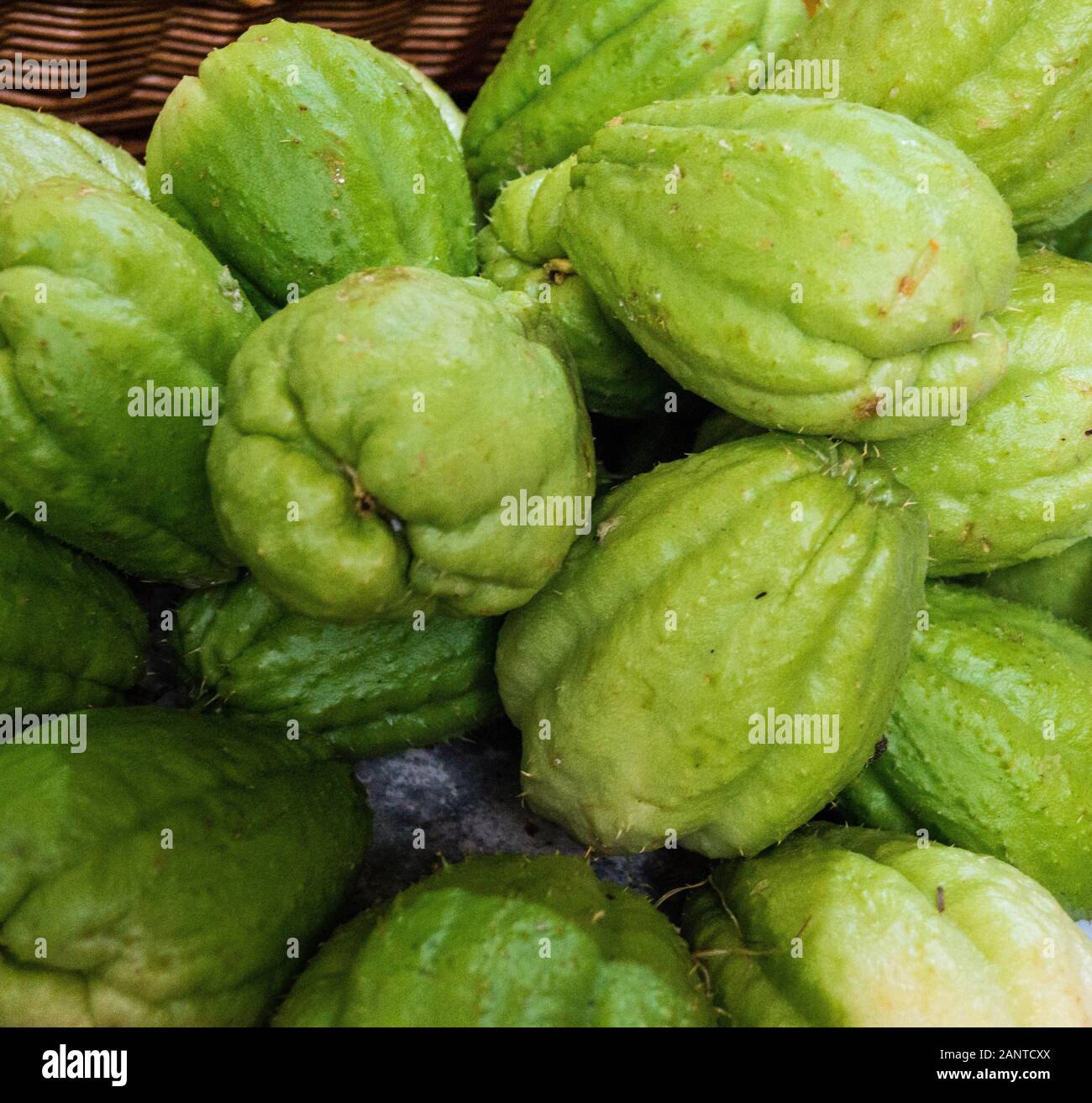 Chayote fruits on a Farmers market Stock Photo - Alamy