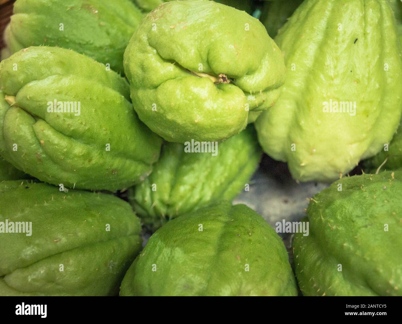 Chayote fruits on a Farmers market Stock Photo - Alamy