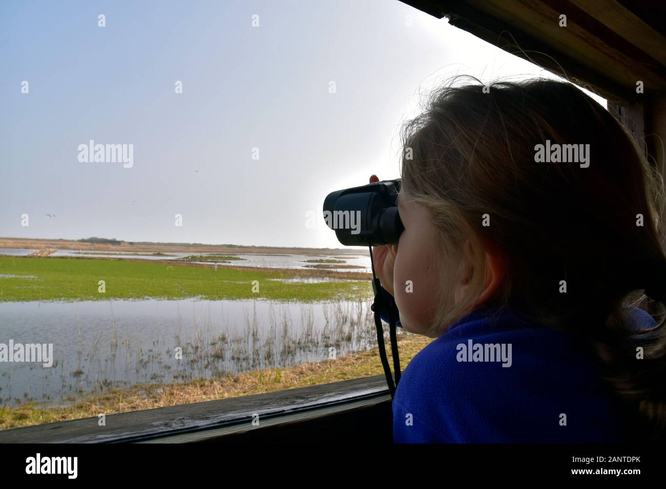Girl child bird watching hi-res stock photography and images - Alamy