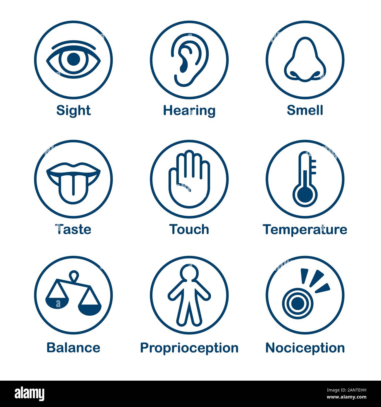 Icon set of human senses of perception. Sight, smell, hearing, touch ...