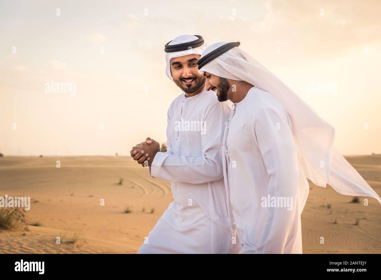 Two handsome arabian men business hi-res stock photography and images ...