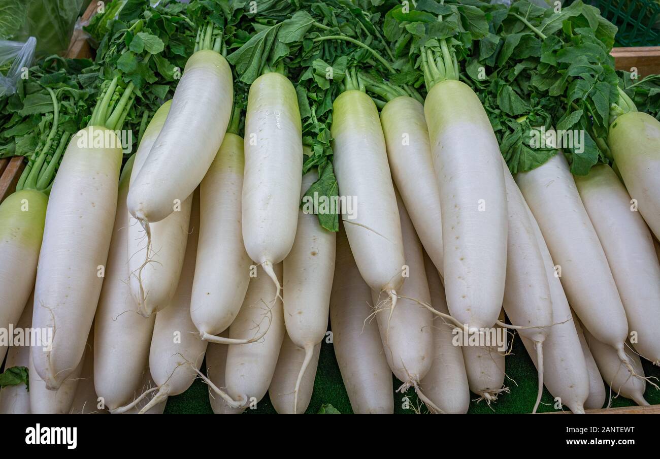 Selection of organic daikon radish for sale at farmers' market ...