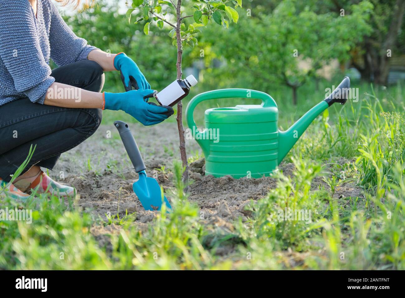 Spring work in the garden, bottle of chemical fertilizer, fungicide in ...