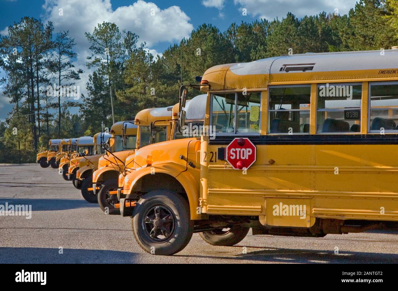 Many school buses hi-res stock photography and images - Alamy