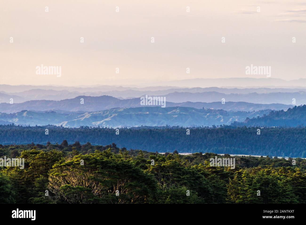 Forests of Wanganui National Park seen from Chateau Tongariro hotel ...