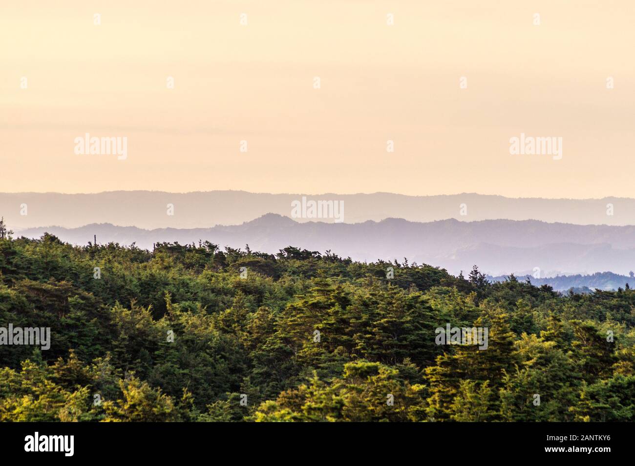 Wanganui national park hi-res stock photography and images - Alamy