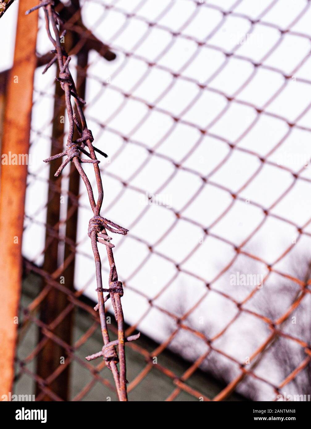 Rusty barbed wire on the fence Stock Photo - Alamy