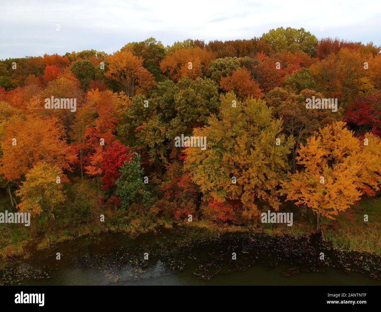 Stunning aerial view of fall foliage near Wilmington, Delaware, U.S.A ...