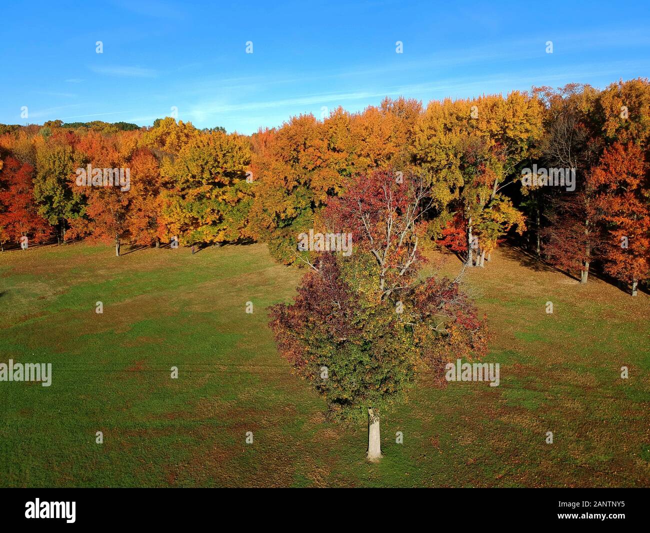 Stunning aerial view of fall foliage near Wilmington, Delaware, U.S.A ...
