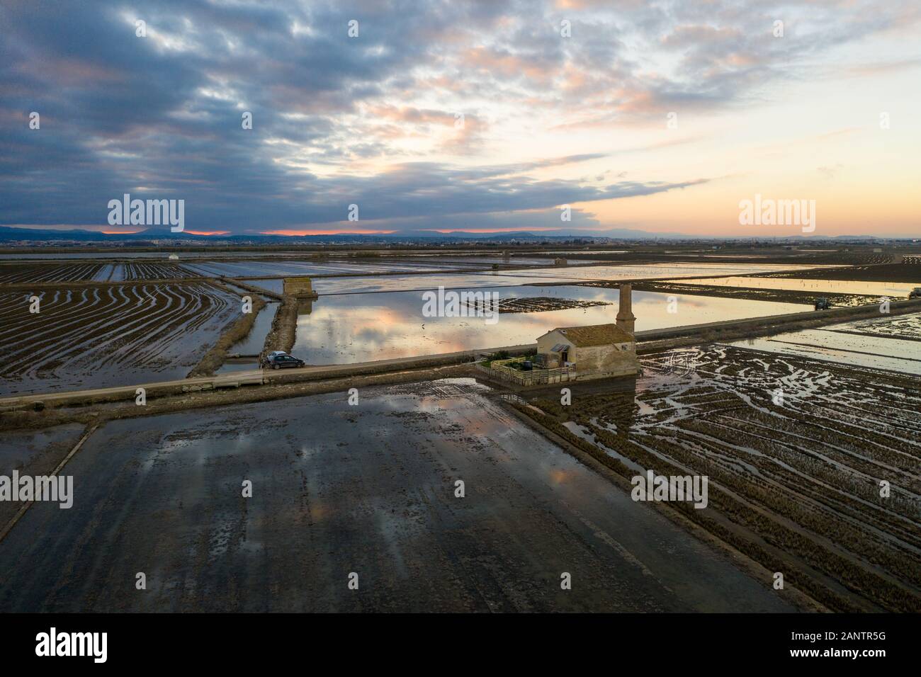 Aerial view of rice fields, flocks of birds and agricultural machinery ...