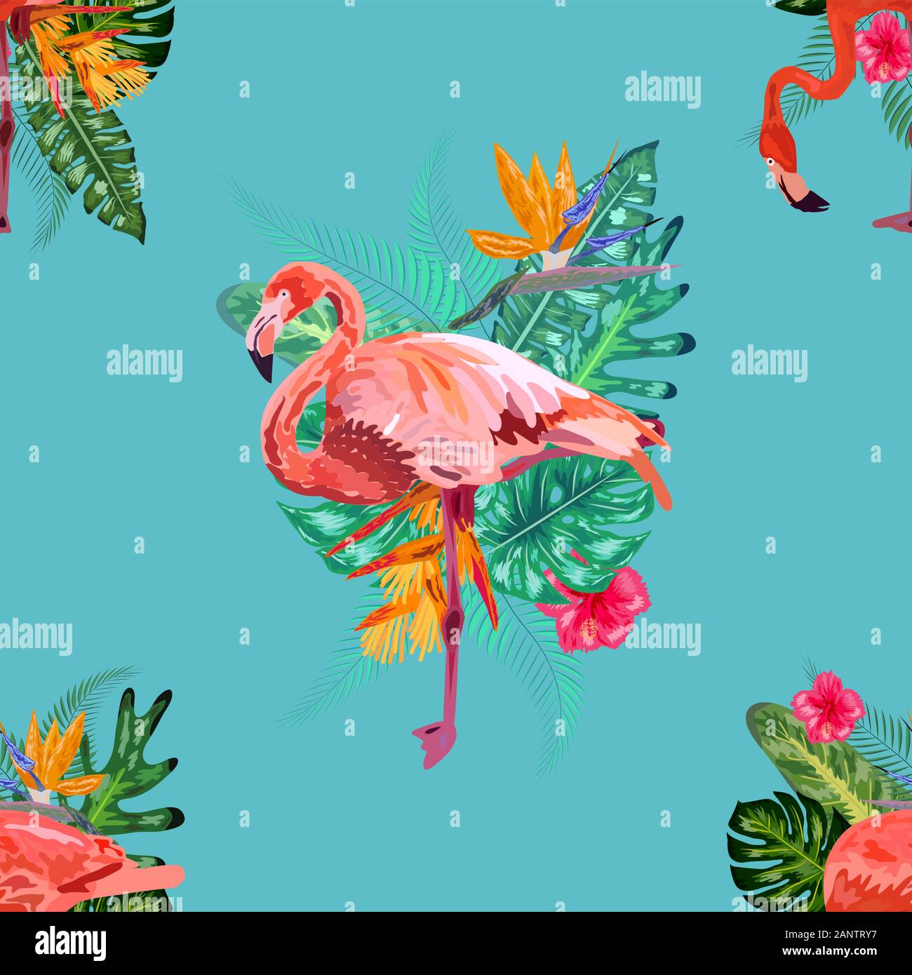 Flamingo Tree High Resolution Stock Photography and Images - Alamy