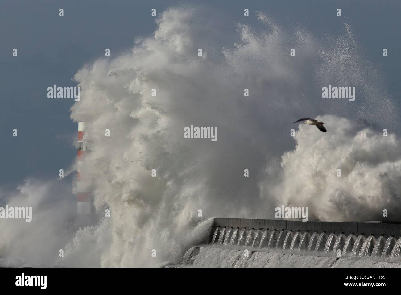 Big wave splash against pier and beacon Stock Photo - Alamy