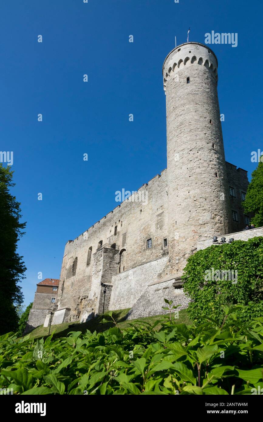 Tall Hermann - a tower of the Toompea Castle on Toompea hill. Tallinn ...