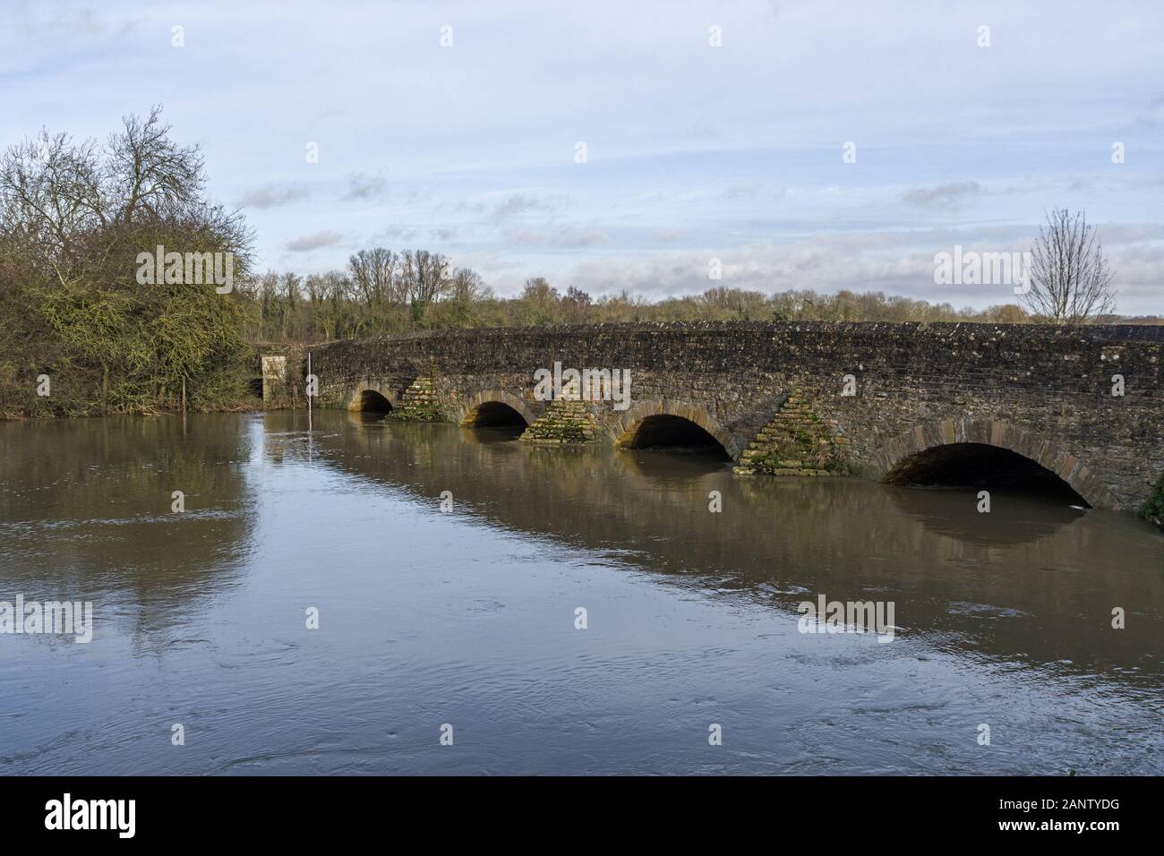 Heavy winter rain causes high water levels at the bridge at Felmersham ...