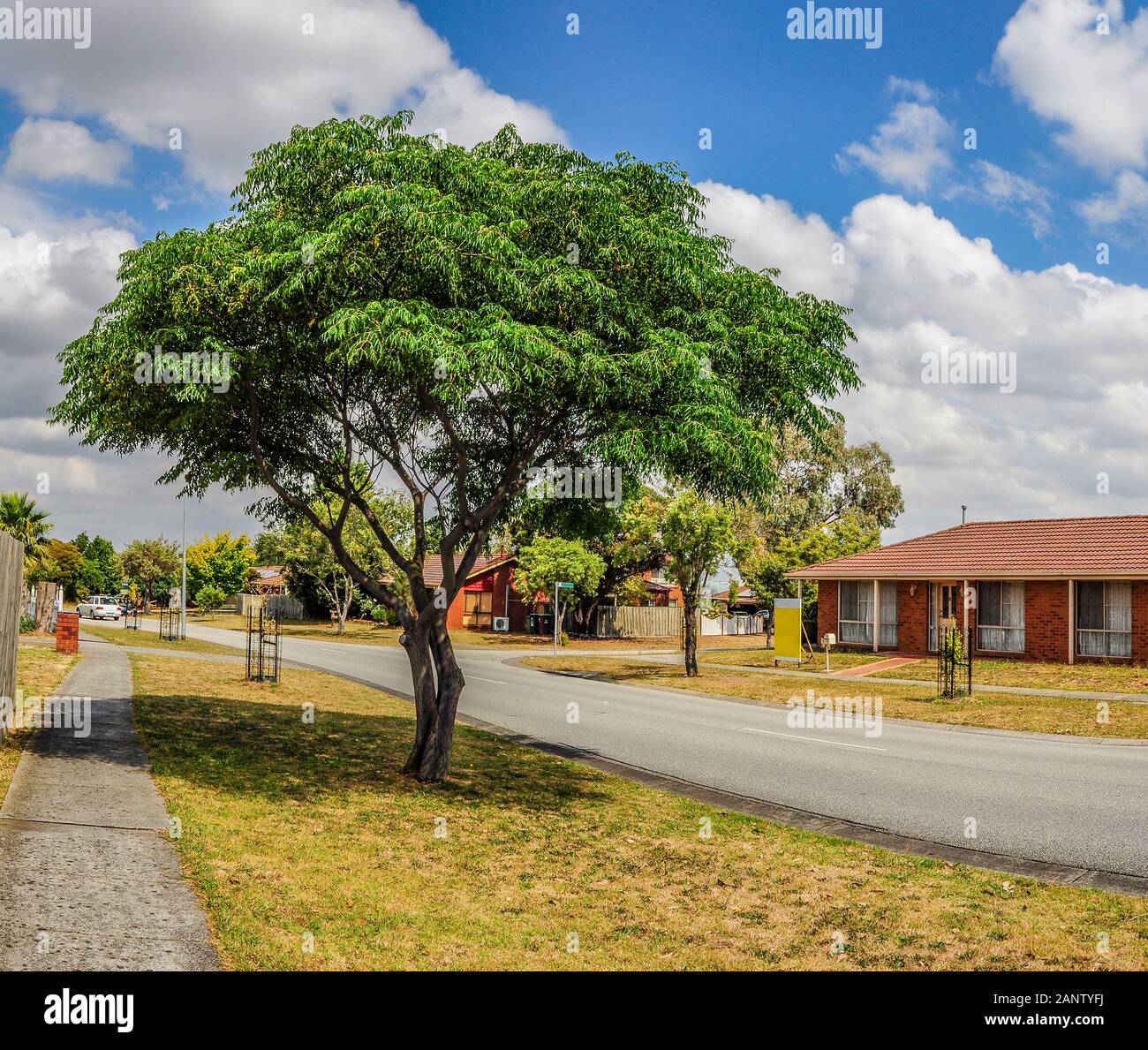 Melbournes trees hi-res stock photography and images - Alamy