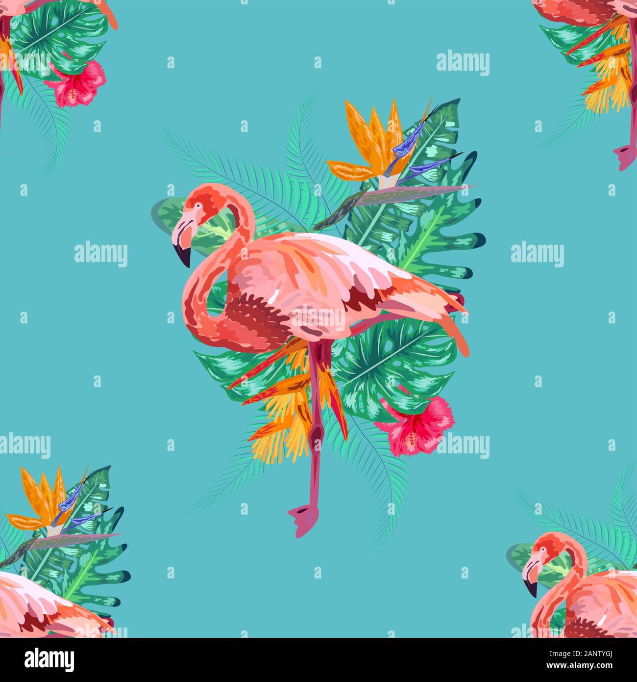 Hibiscus blue bird Stock Vector Images - Alamy