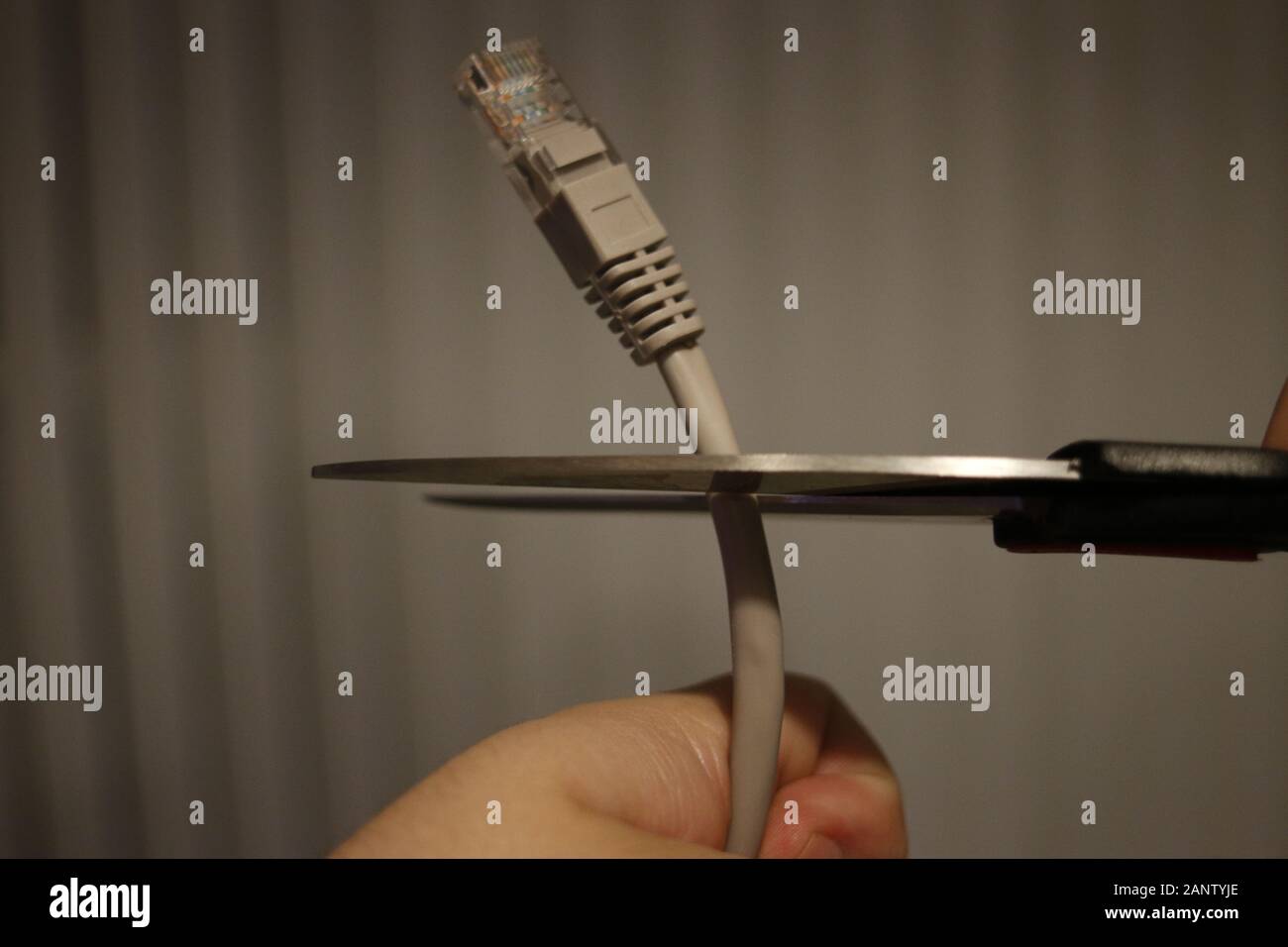 Concept Isolated Photo Of Cutting Cable Cord Stock Photo - Alamy