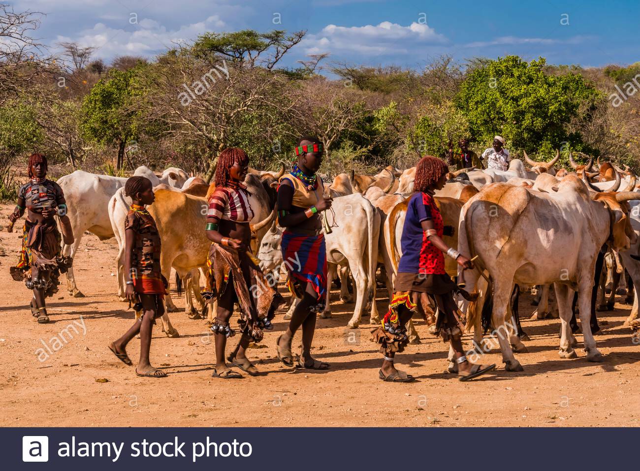 Manhood Ceremony Stock Photos & Manhood Ceremony Stock Images - Alamy