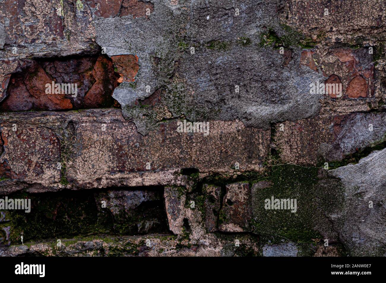 Old brick wall covered with moss texture background close-up. Stock ...