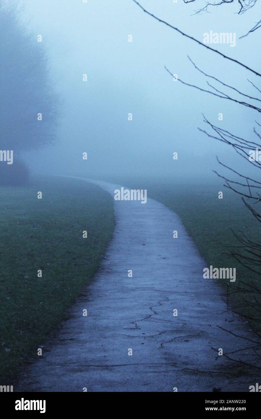 Pathway of trees in fog hi-res stock photography and images - Alamy